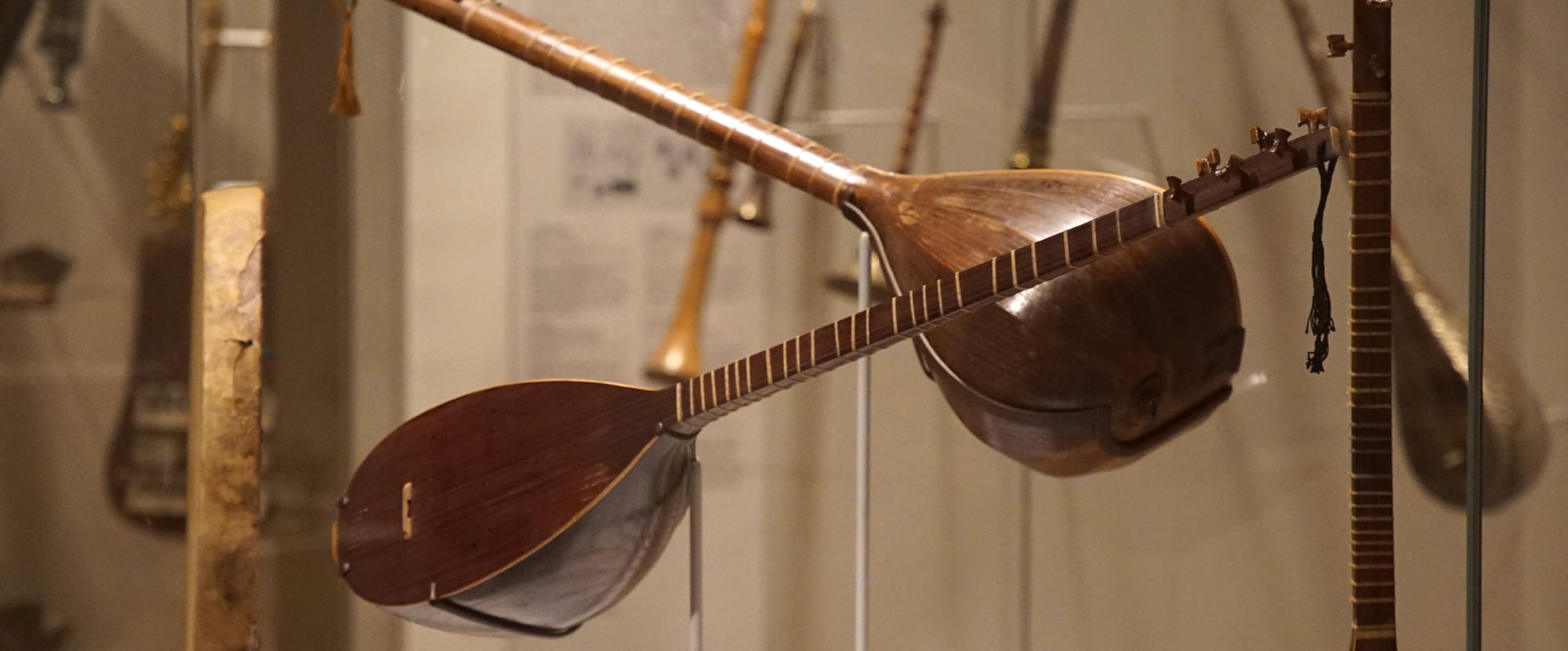 Un instrument céleste - Ostad Elahi